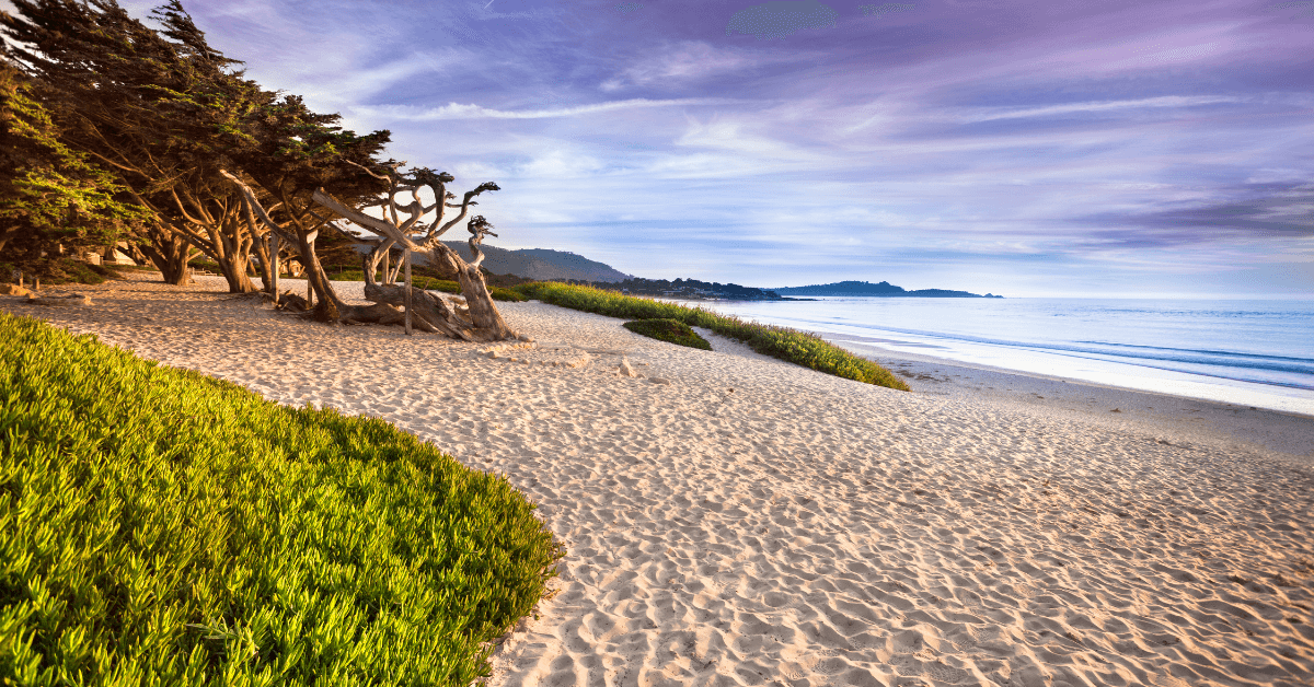 Golden Years in the Golden State: Our Top Retirement Destinations in ...